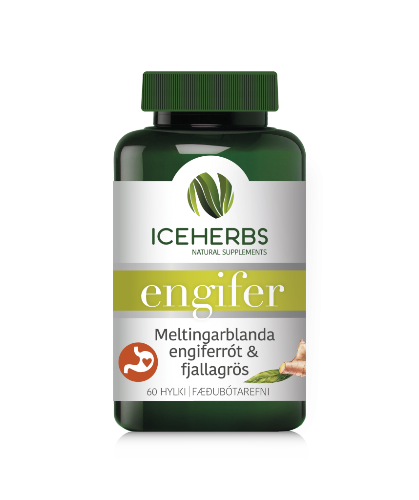 Iceherbs Engifer með fjallagrösum 60 hylki – Siglufjarðar Apótek